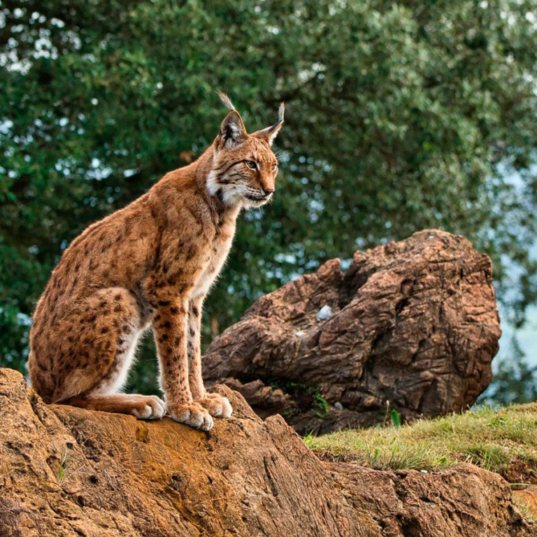 Conocimiento y conservación del medio terrestre archivos - HYT